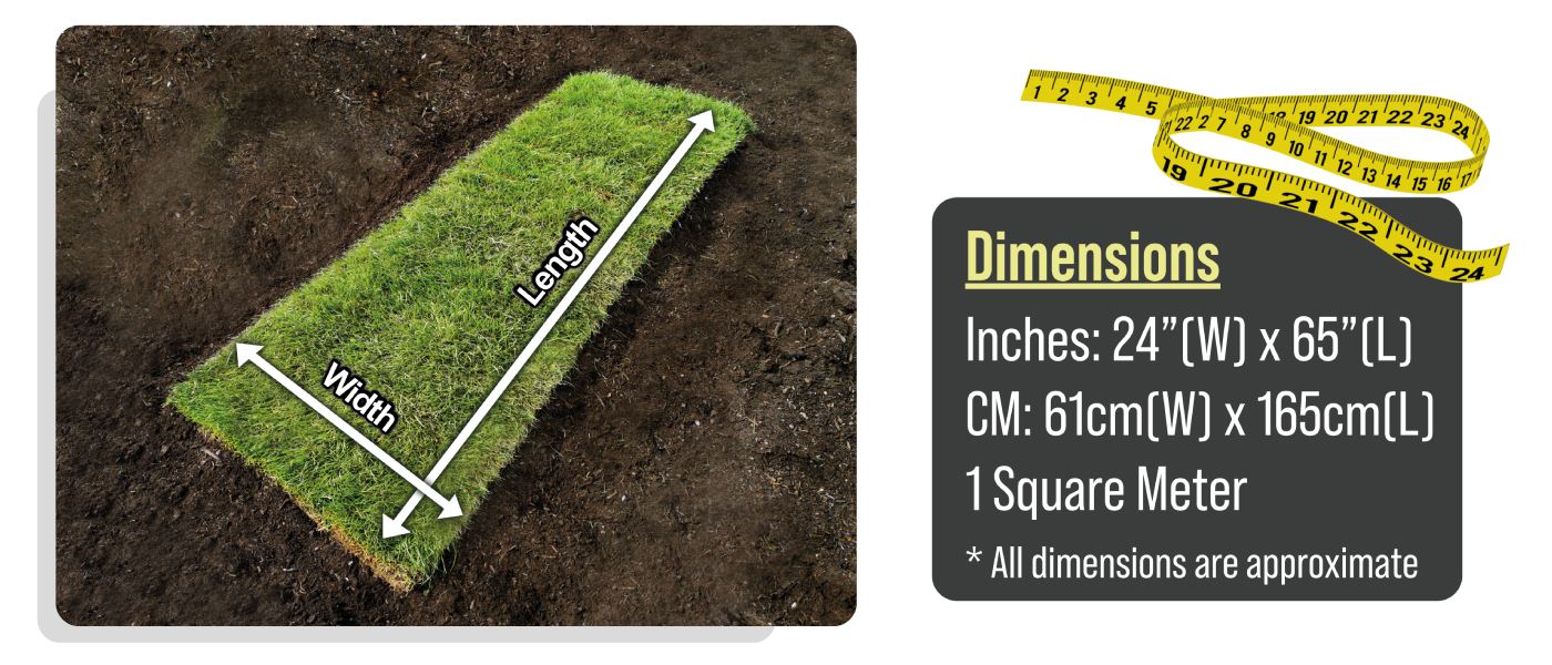 Turf Suppliers, Buy Direct. Next Day Delivery | TurfWorld