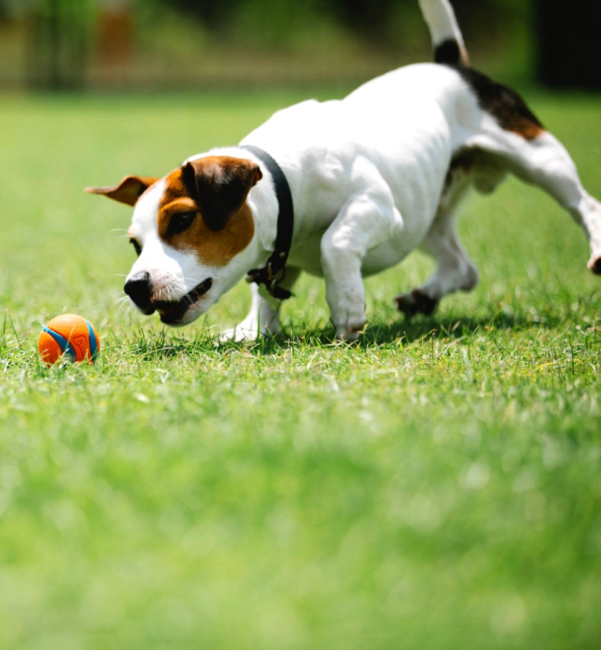 About Us - Turfworld | Quality Turf - Top Soil - Grass Seed