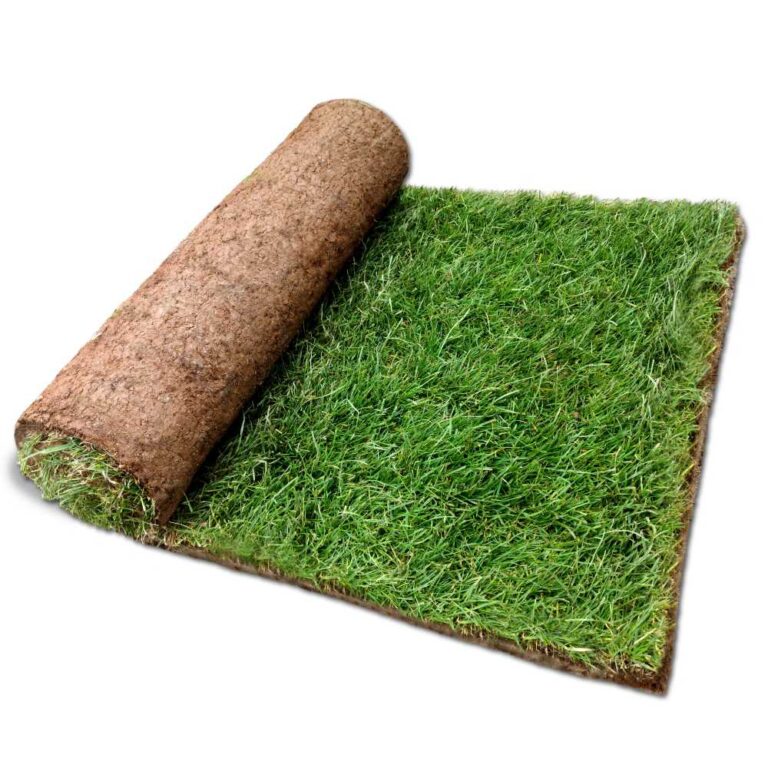 Turf Near Me | Fresh Lawn Turf & Garden Turf Delivered | TurfWorld