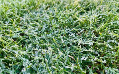 Online Turf Supplier - Top Soil - Buy Direct - Turfworld