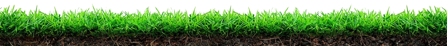 Turf Suppliers, Buy Direct. Next Day Delivery | TurfWorld